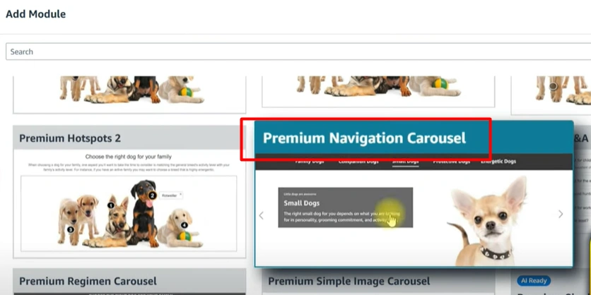 Amazon Premium A+ Content Explained: Step-by-Step Guide (2025)